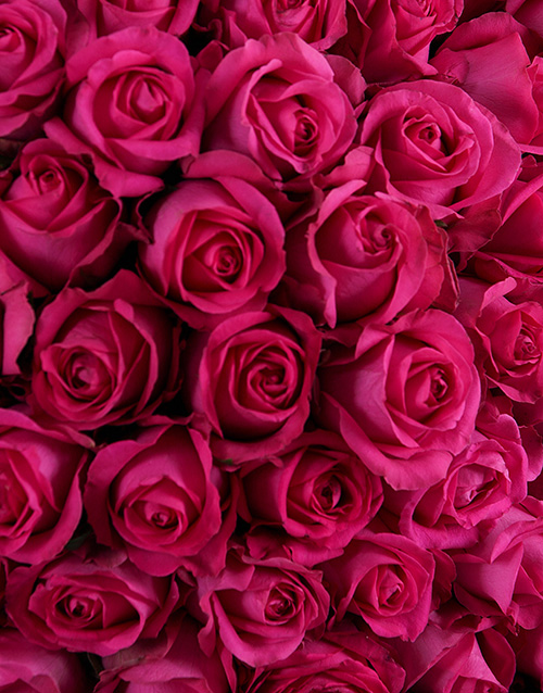 Shades of Cerise Rose Bouquet – 600Flora