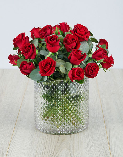 Rose Attraction – 600Flora